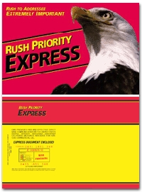 3D Mail Results | Proven Direct Mail to Increase ROI